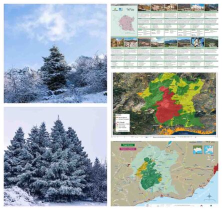 ⭐️La UNESCO amplía la Reserva de la Biosfera Sierra de las Nieves y ...